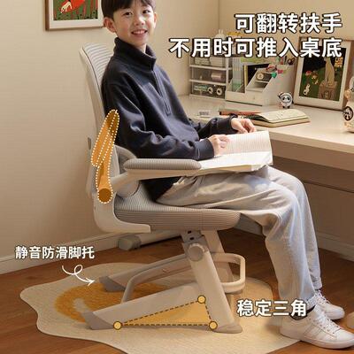 学习少椅子青初年高中学生专用人99体工学写字可升降久坐椅书桌座