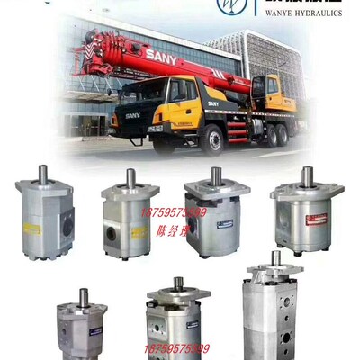 CBFM-E325-AFPL齿轮油泵 合肥皖液液压元件有限公司 原装正品