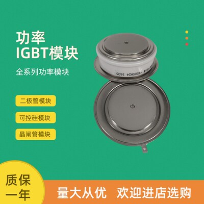 平板可控硅晶闸管T160N18TOF T130N12TOF T130N14TOF T130N16TOF