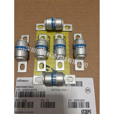 CR2LS-U30/UL CR2LIFAS-501/USL CR0L-10/UL CR2LS/20/L 快速熔断