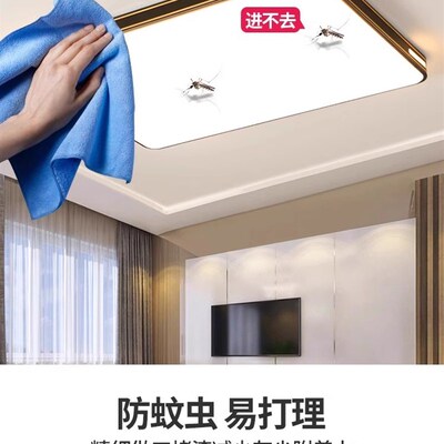 家用客厅大灯吸顶灯饰大厅主卧室吊灯具现代简约大气202.5新款中