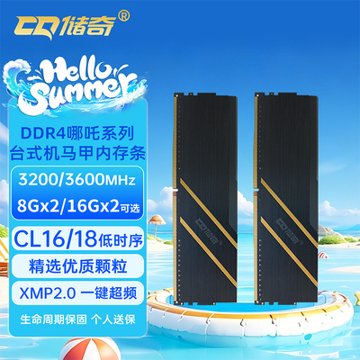 储奇哪吒旗舰系列海力士颗粒内存