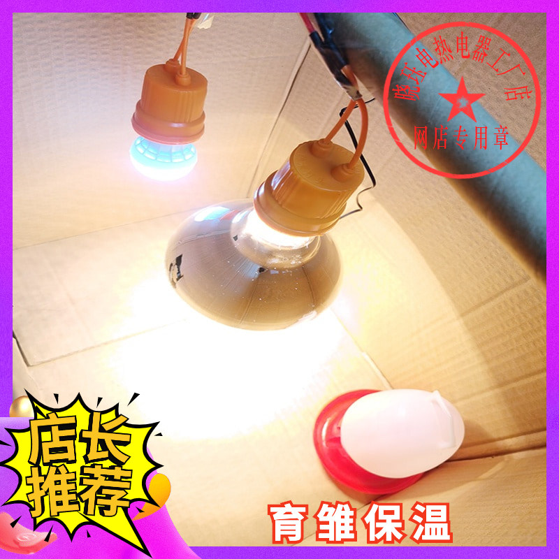 小鸡保温箱鹦鹉鸟自控温育雏加热灯养殖取暖灯加热恒温育雏箱设备