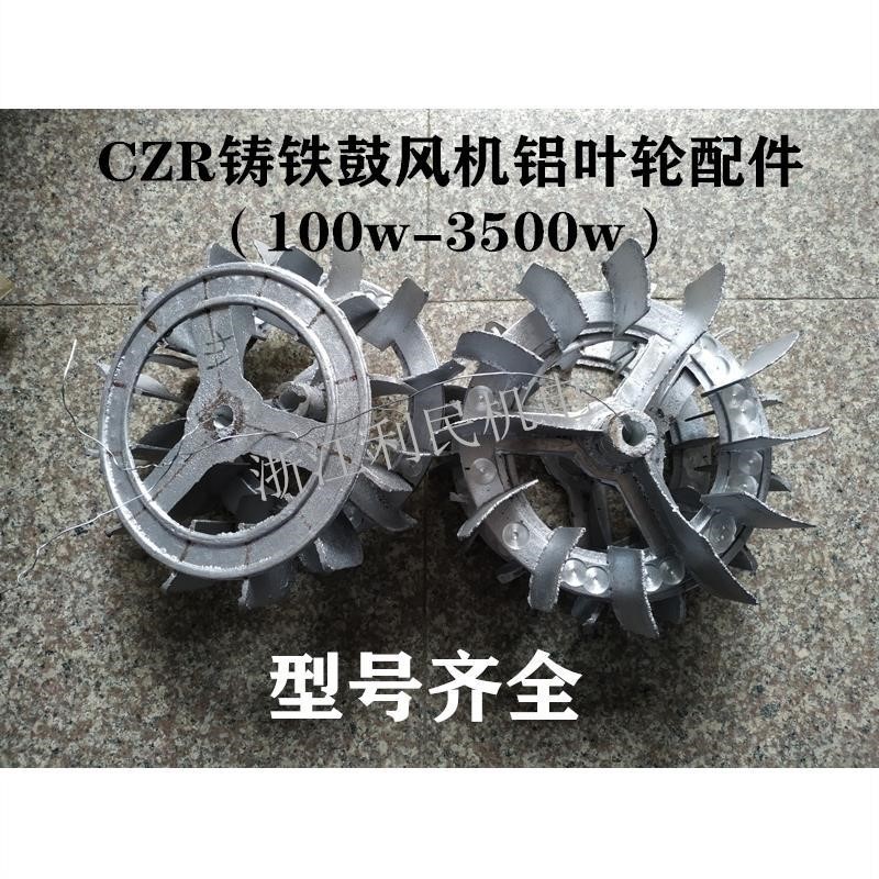 德国进口100w/250w-3500wCZR鼓风机炉灶吹风机配件铝叶轮 风叶 铝