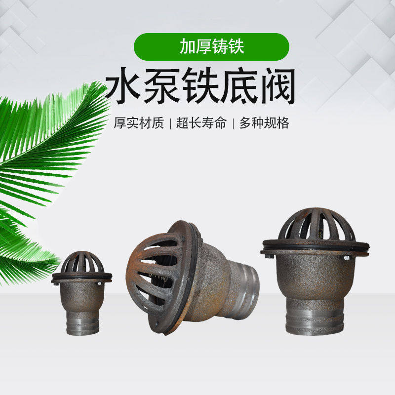 自吸水泵底阀止水阀1寸1.2寸1.5寸2寸2.5寸3寸4寸铸铁底阀 莲蓬头