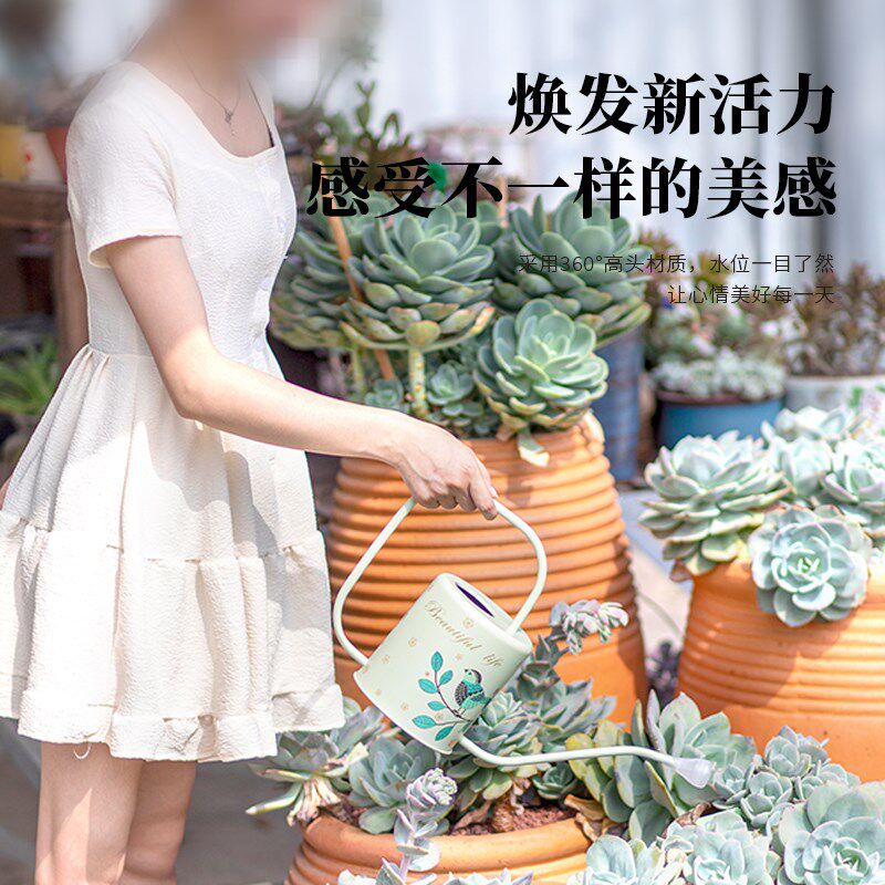 浇水壶不锈钢长嘴浇花水壶家用洒水壶绿植多肉淋花壶大号养花园艺