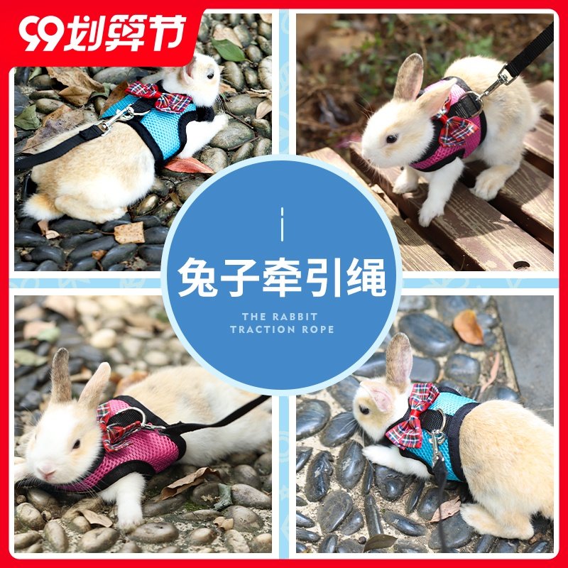 兔子牵引绳子溜兔绳链子遛兔绳小宠牵兔绳背心式垂耳兔兔用品衣服
