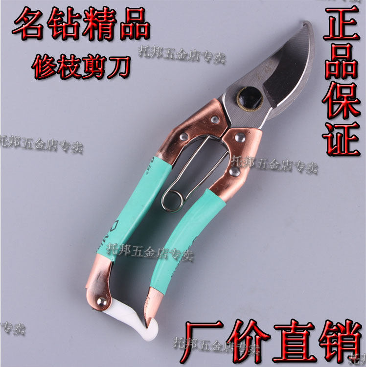 农用剪枝剪园林果树修枝整枝专用碳钢精品剪刀名钻170型精品8寸剪