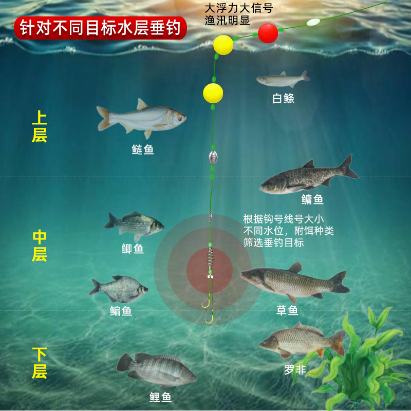 路亚浮钓草鱼鲢鳙线组免调漂洛阳球大力马主线子线鲢鱼饵笼套装