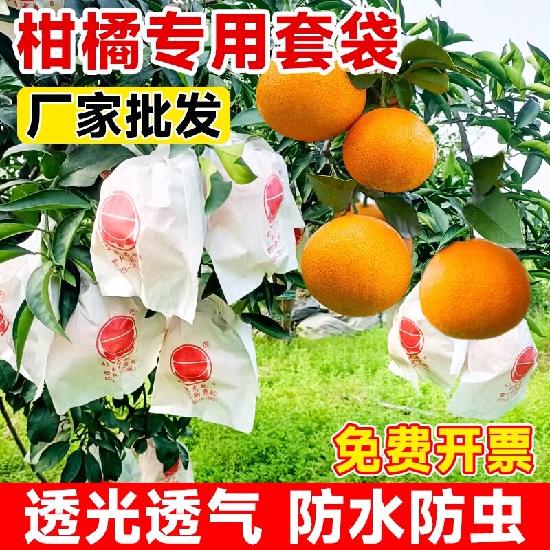 柑橘套袋专用袋橘子果袋粑粑柑丑橘橙子防虫防鸟石榴沃柑水果套袋