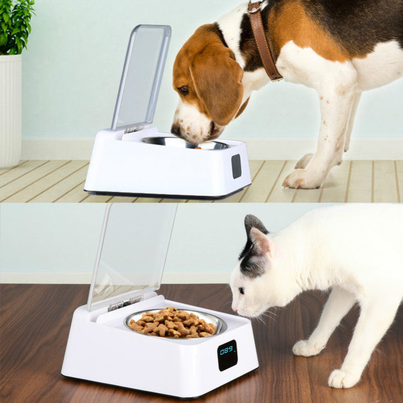 宠物智能碗猫狗喂食器红外感应自动开盖防虫防老鼠饭碗猫碗狗盆