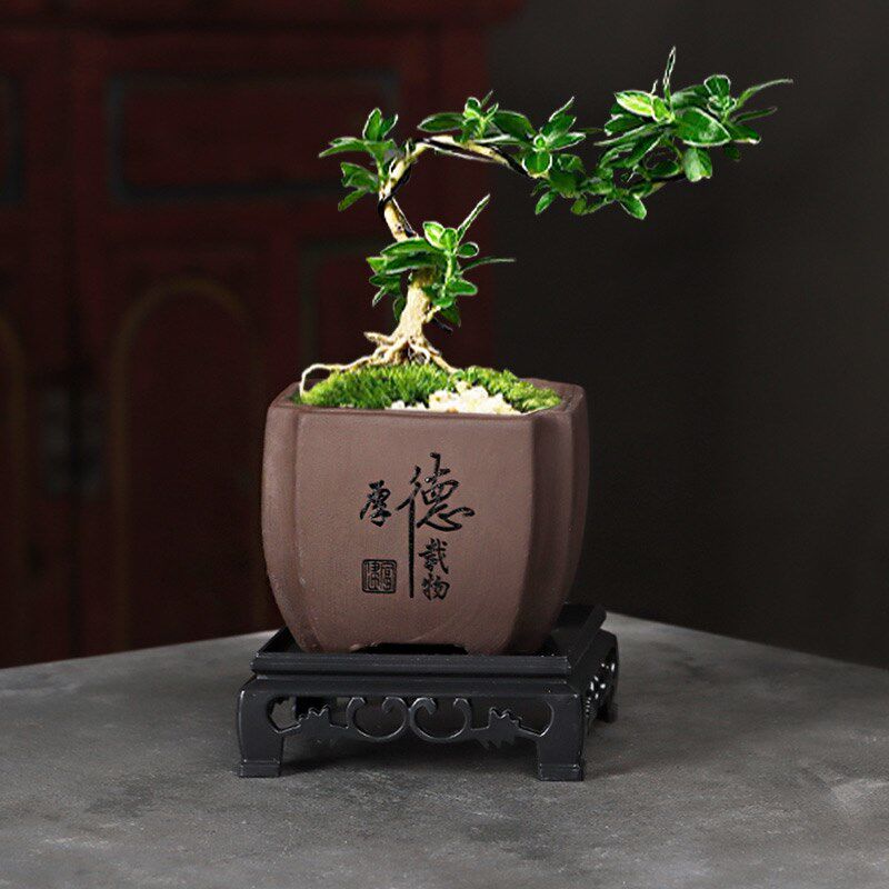 紫砂花盆带托盘粗陶透气蝴蝶兰兰花多肉高桩复古盆栽小号大口径盆
