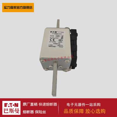 熔断器170M4761 170M4762 170M4763 170M4764 170M4765 170M4766