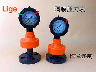 UPVC PP隔膜压力表 塑料耐腐蚀抗震压力表法兰连接 20mm DN15 4分