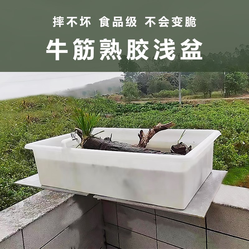 加厚耐用牛筋塑料水箱长方形大号水产养殖方桶养鱼卖鱼养龟浅盆