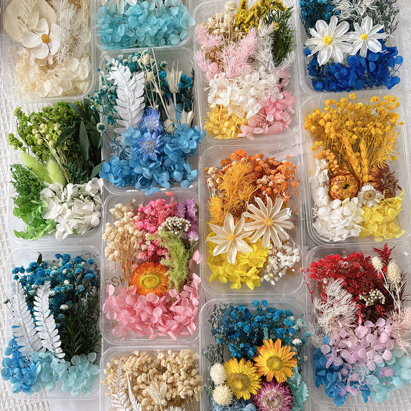 永生花干燥花材料包DIY相框贴画团扇浮游团建活动花艺课手工天然