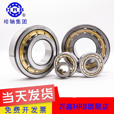 哈尔滨轴承NF/N/NU/NJ405 406 407 408 409 410 411 412 413 414