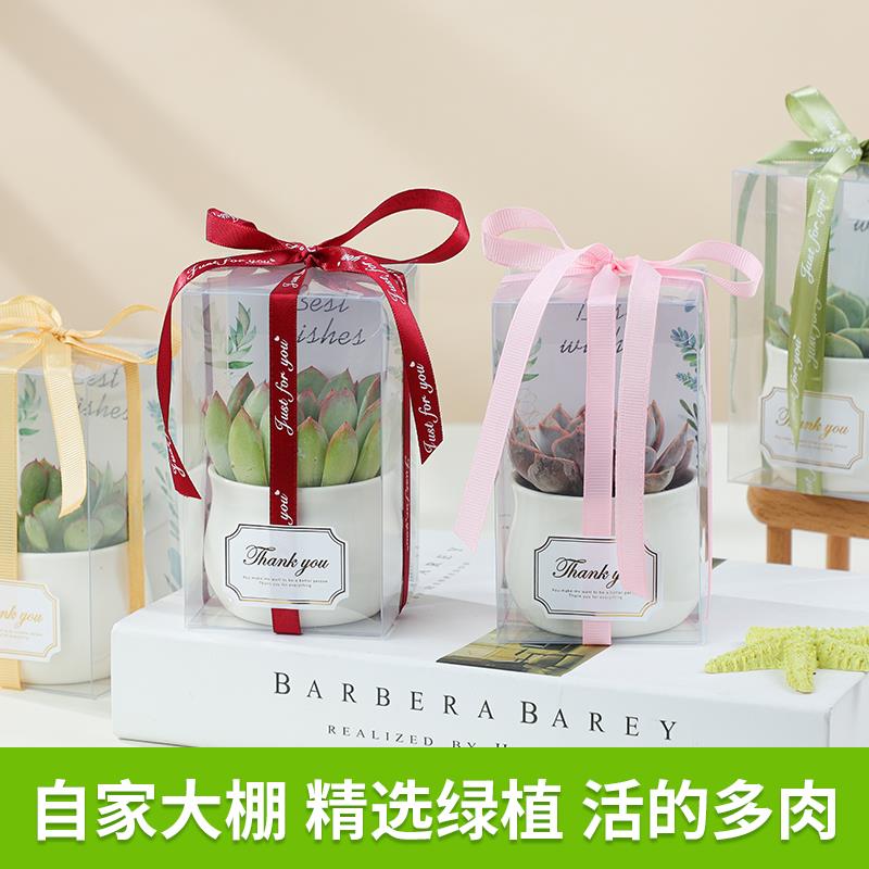 创意礼盒周年庆礼品套组车展妇女节中秋生日礼盒订婚宴教师节礼物
