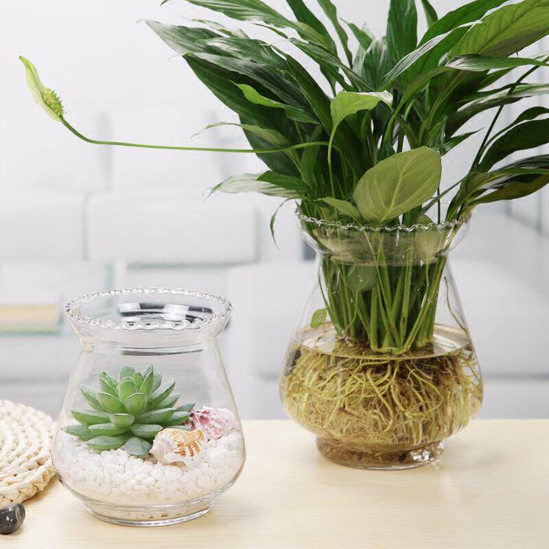 美式风格花瓶透明水培花盆创意桌面摆设花器水培绿萝容器