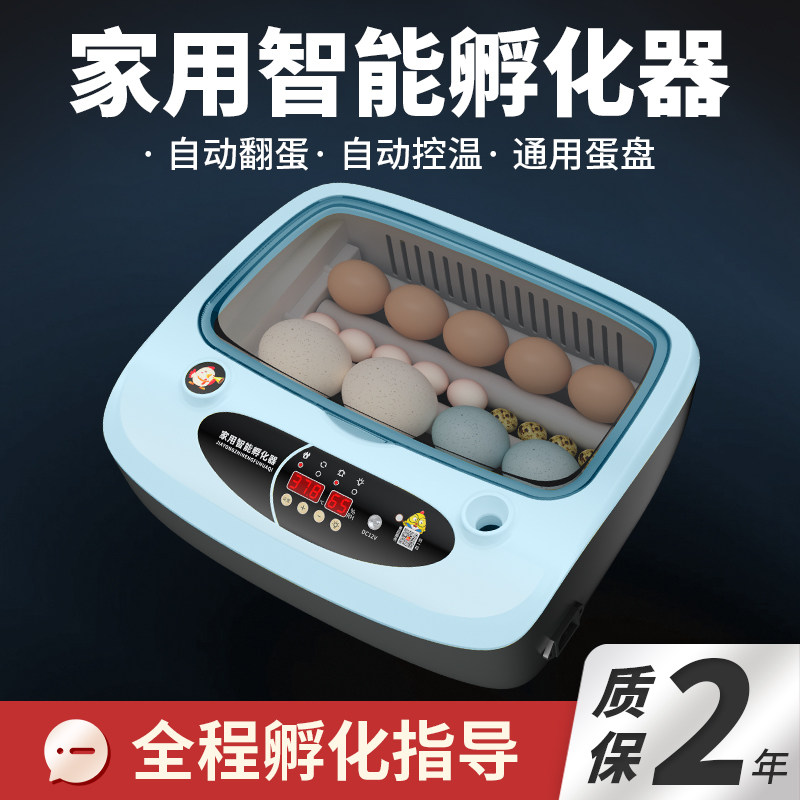 全自动小型孵化器小鸭家用智能孵化机迷你孵蛋器鸡鹅鸟孵化箱新品
