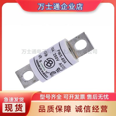 FWX-35A FWX-40A FWX-45A/50AD FWX-60A/70A/80A快速熔断器保险丝