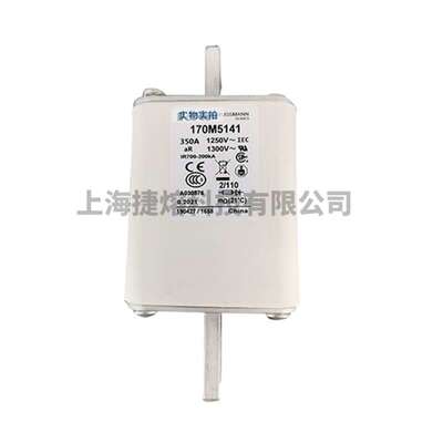 170M5141 170M5142 快速熔断器  保险丝 电子元器件 量大价优