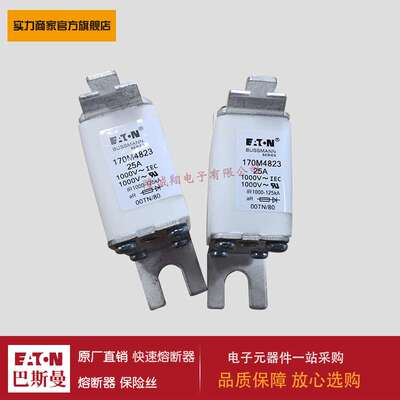 熔断器170M4828 170M4829 170M4830 170M4831 170M4832 170M4833