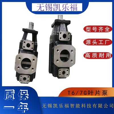 装载机/压塑机油泵T6GCC-B25