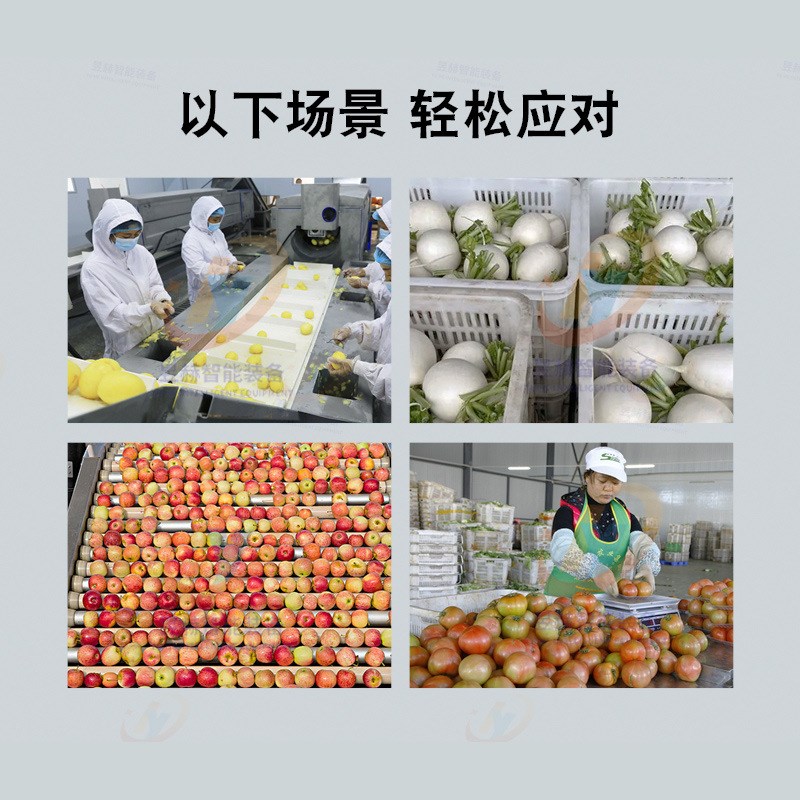 水果厂全自动h果蔬分选机芒果番石榴滚杠式分级机滚杠式大小选果