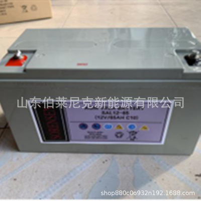 索润森蓄电池SAL12-20012V200AH直流屏电源EPS电源电力基站