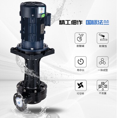 一体成型管道泵槽内立式JKD-v50SK-55EF-4耐酸碱耐腐蚀空转化工泵