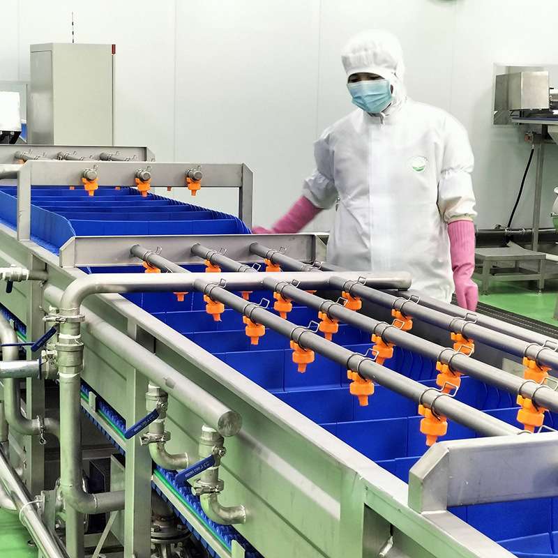 根茎、叶菜类、鲜切菜二合一清洗流水线全自动净菜加工洗菜流水线