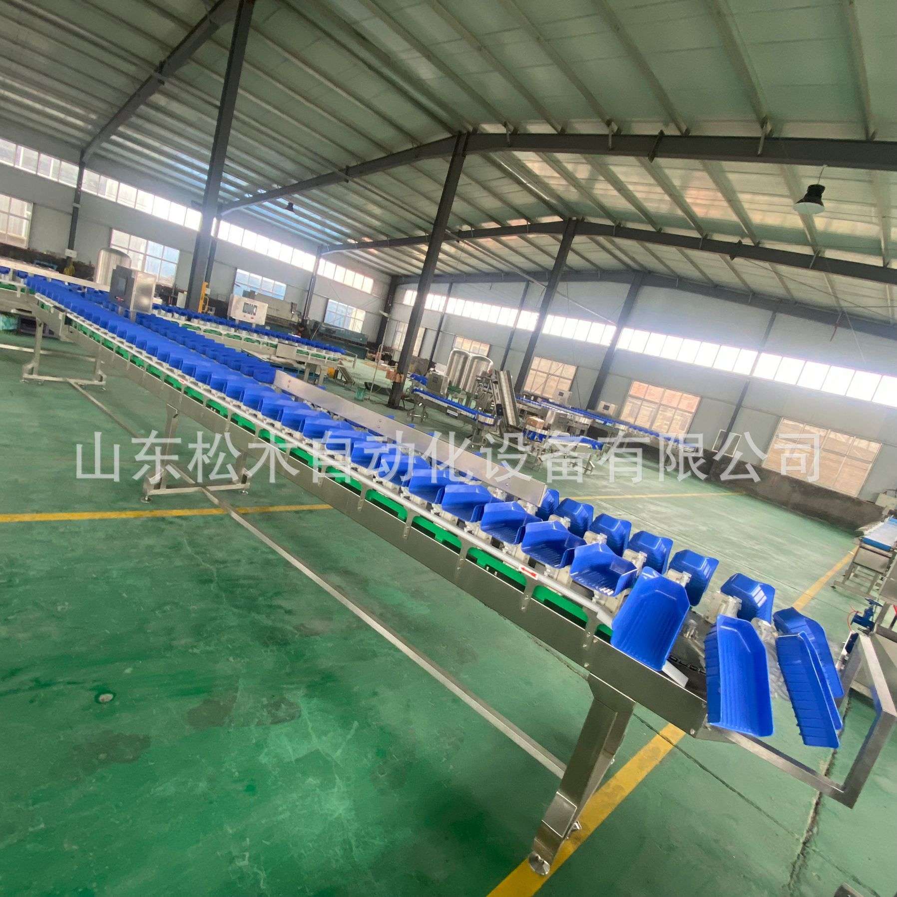 重量分选机全自动整鸡鸭鹅重量分拣机肉制品加工流水线厂家直销