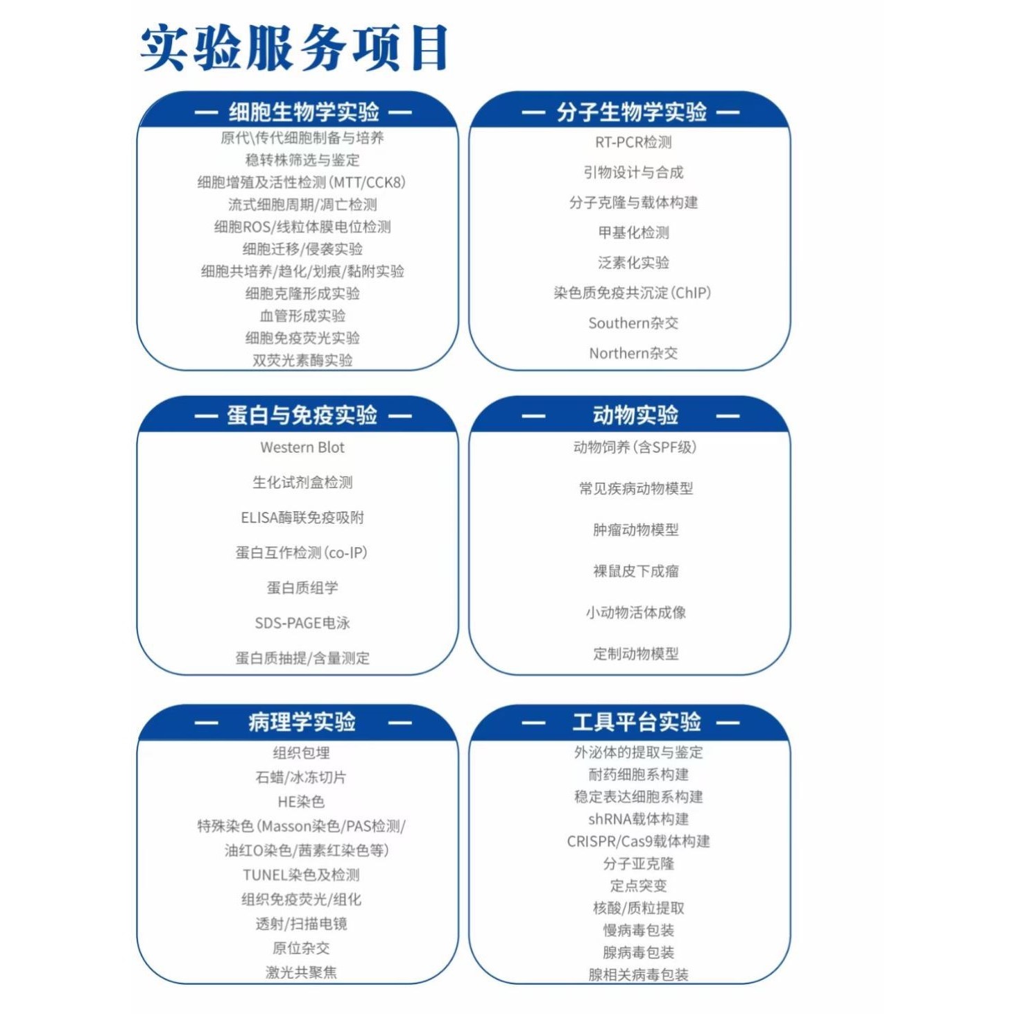 生物医学,纳米材料等实验服务,数据分析