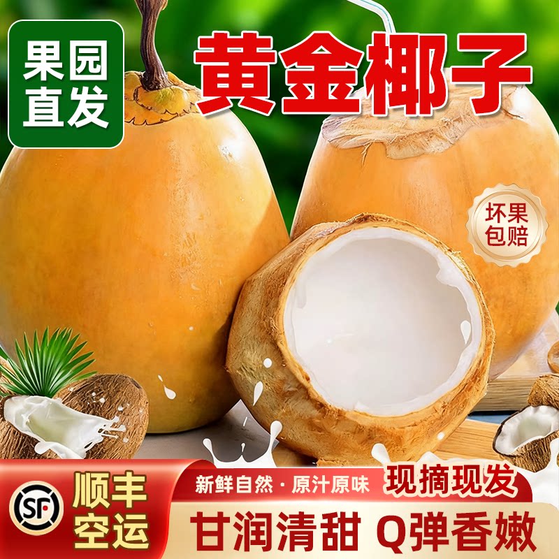 【顺丰包邮】海南黄金椰子椰青三亚特产现摘现发新鲜水果送开椰器