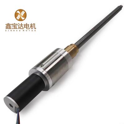 2245直流微型空心杯XBD 伺服电机 厂家直销替maxon ec22 DC马达