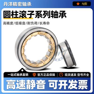丹洋圆柱轴承N NU NJ304 305 306 307 308 309 310 311 312 313EM