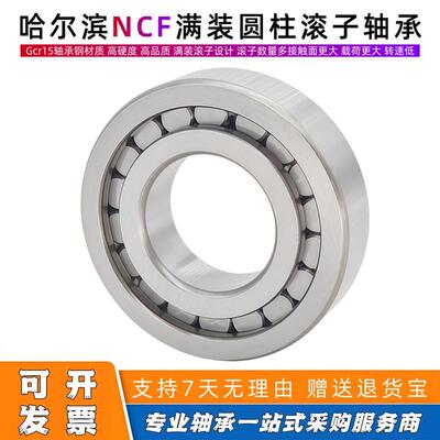 满装圆柱滚子轴承SL18 NCF3004 3005 3006 3007 3008 3009 3010CV