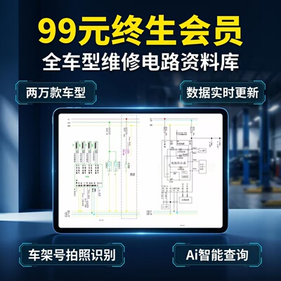 2023-2025大力牛魔王 D01 D03 D05 D08 维修手册电路图资料库查询