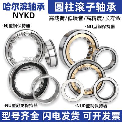 哈尔滨圆柱滚子轴承N NUP2203 2204 2205  2206 2207 2208 2209EM