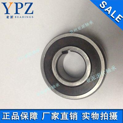 YPZ国产CSK 8 10 12 15 17 20 25 30 35 40-P PP楔块式单向离合器
