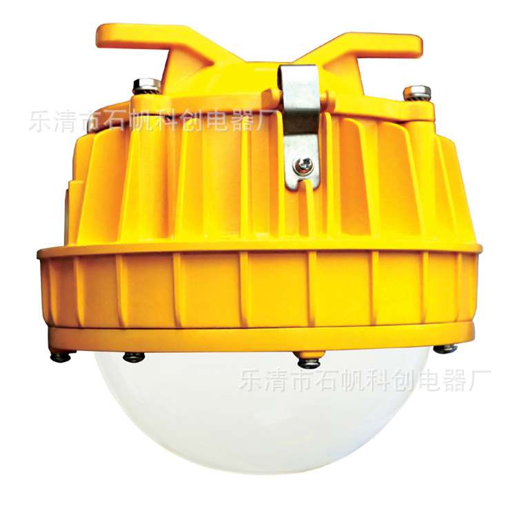 LED防爆平台灯BPC8766 防眩泛光灯50W 油罐区防爆油站灯
