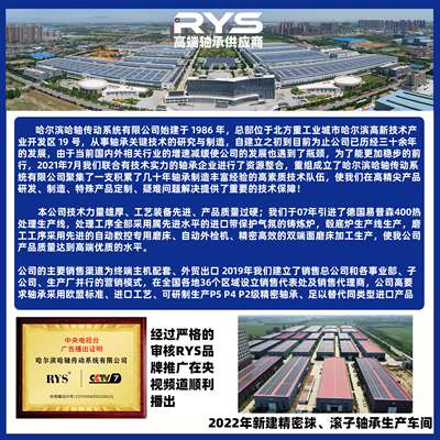 RYS 哈轴传动 22213 22214 22215 22216 CA CC E K /W33