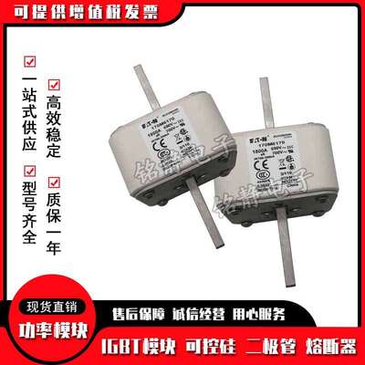 170M6081 170M6083 170M6085 170M6087巴斯曼熔断器型号齐全