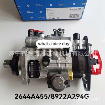 适用德尔福DP200发动机燃油泵 2644A455  8922A294G 济宁赛克思