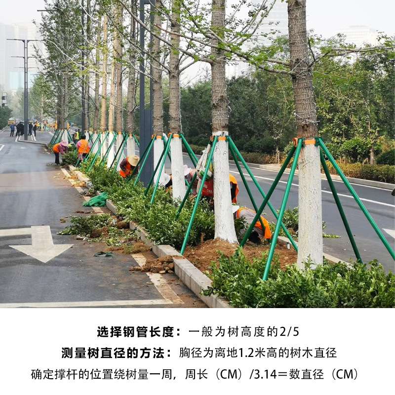树木支撑杆护林防倒固定器厂家绿颜色镀锌园林绿化钢管苗木支撑架