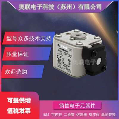 熔断器170M6494 170M6495 170M6496 170M6497 170M6498 170M6499