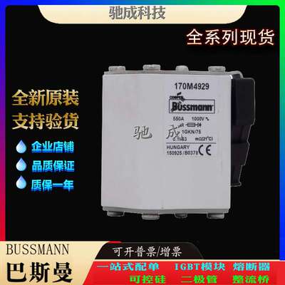 巴斯曼170M4929 170M4930 170M4951 加工制作质优价廉 原装熔断器