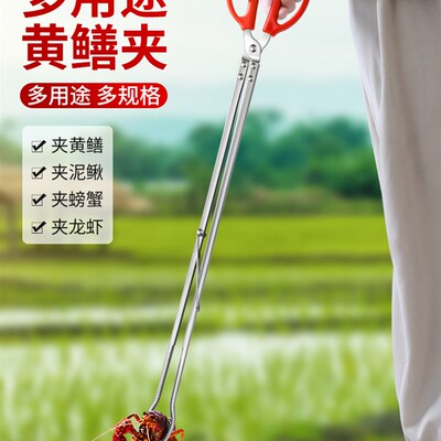 不锈钢防滑脱控鱼器多功能专用赶海神器黄鳝夹子鳝鱼泥鳅螃蟹钳子