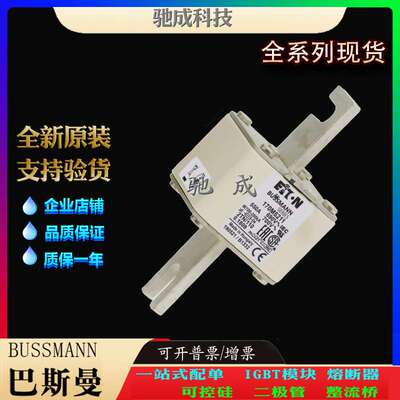 巴斯曼170M5209 170M5210 170M5211 厂家直供 零售 快熔保险丝